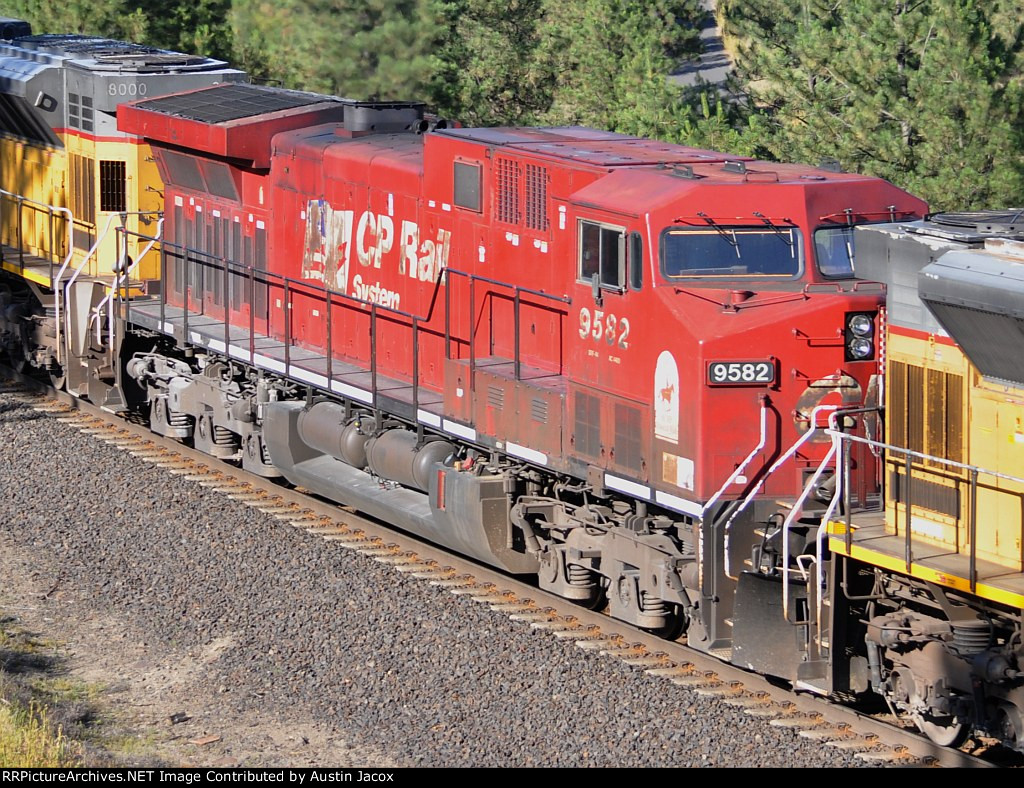 CP 9582